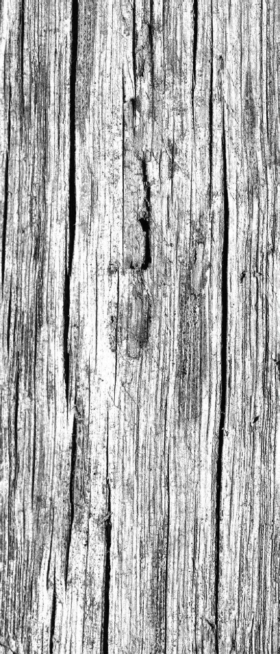 Thousand Trails Hidden Cove RV Resort by AGS/Texas Advertising - Issuu