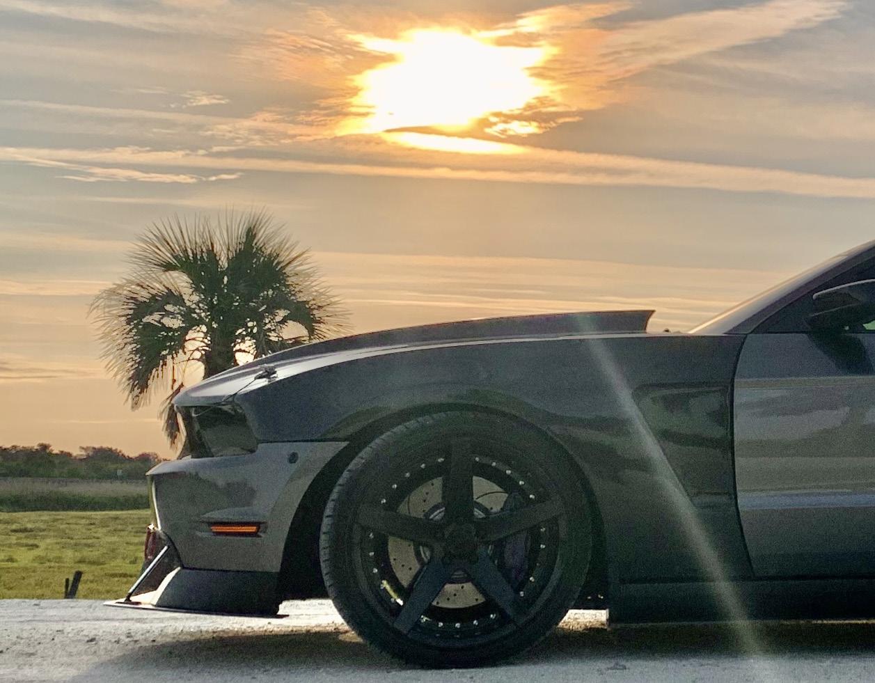 STANG Magazine March 2024: Editor's Choice by STANG Magazine - Issuu