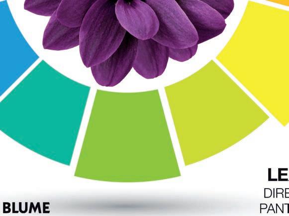 Armonía cromática by Editorial Blume - Issuu