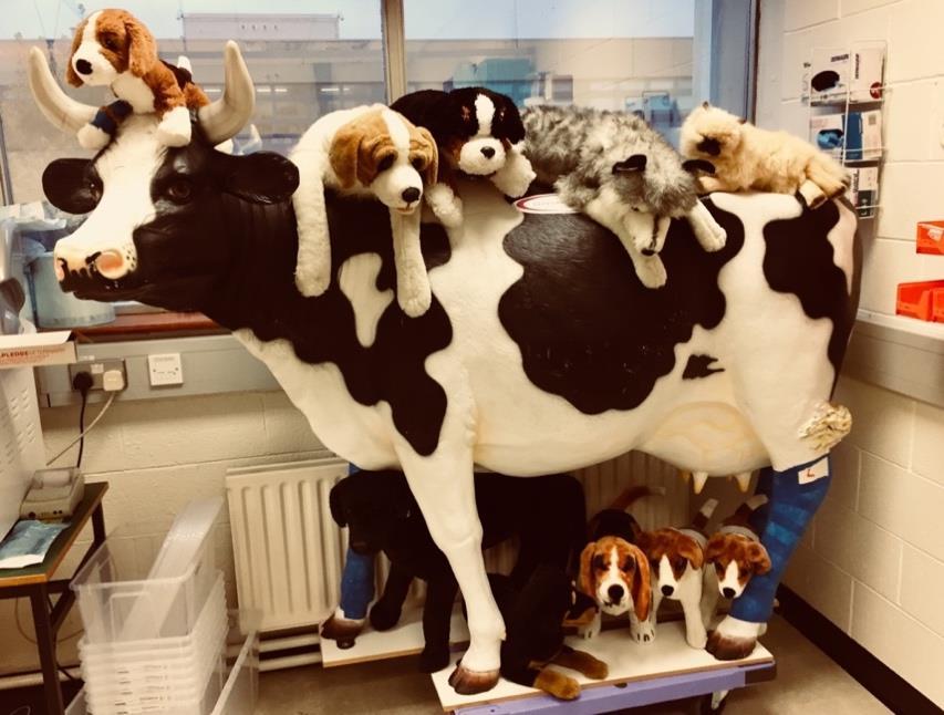 VN4 Student Information Pack 2023-2024 by jade.pollock - Issuu