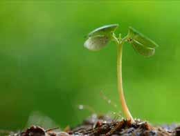 Snap Science 2nd Edition Course Guide by Collins - Issuu