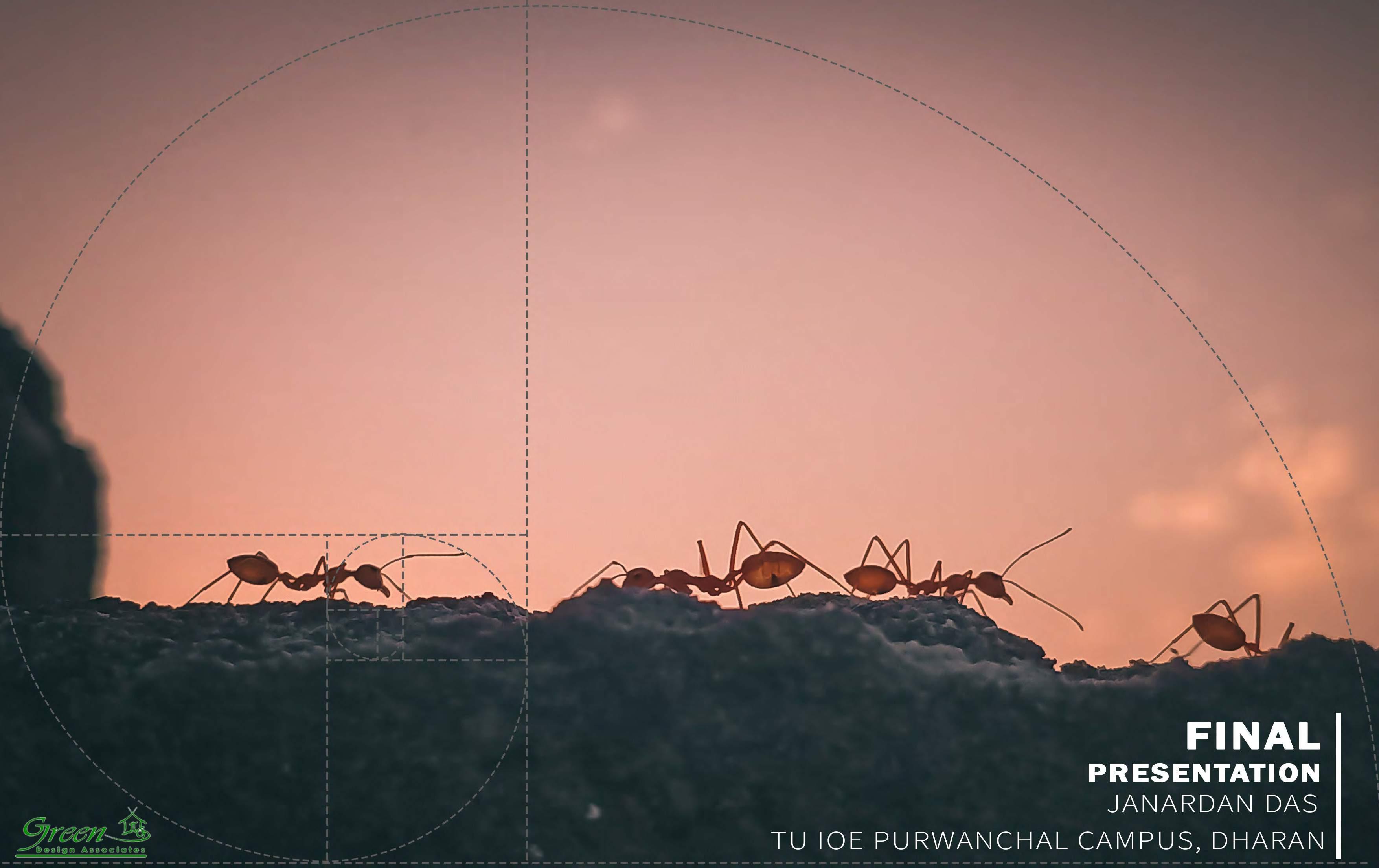 Architectural Internship Report Part01 by JANARDAN DAS - Issuu