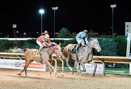 Looking Forward to West Virginia Breeders Classic - Issuu