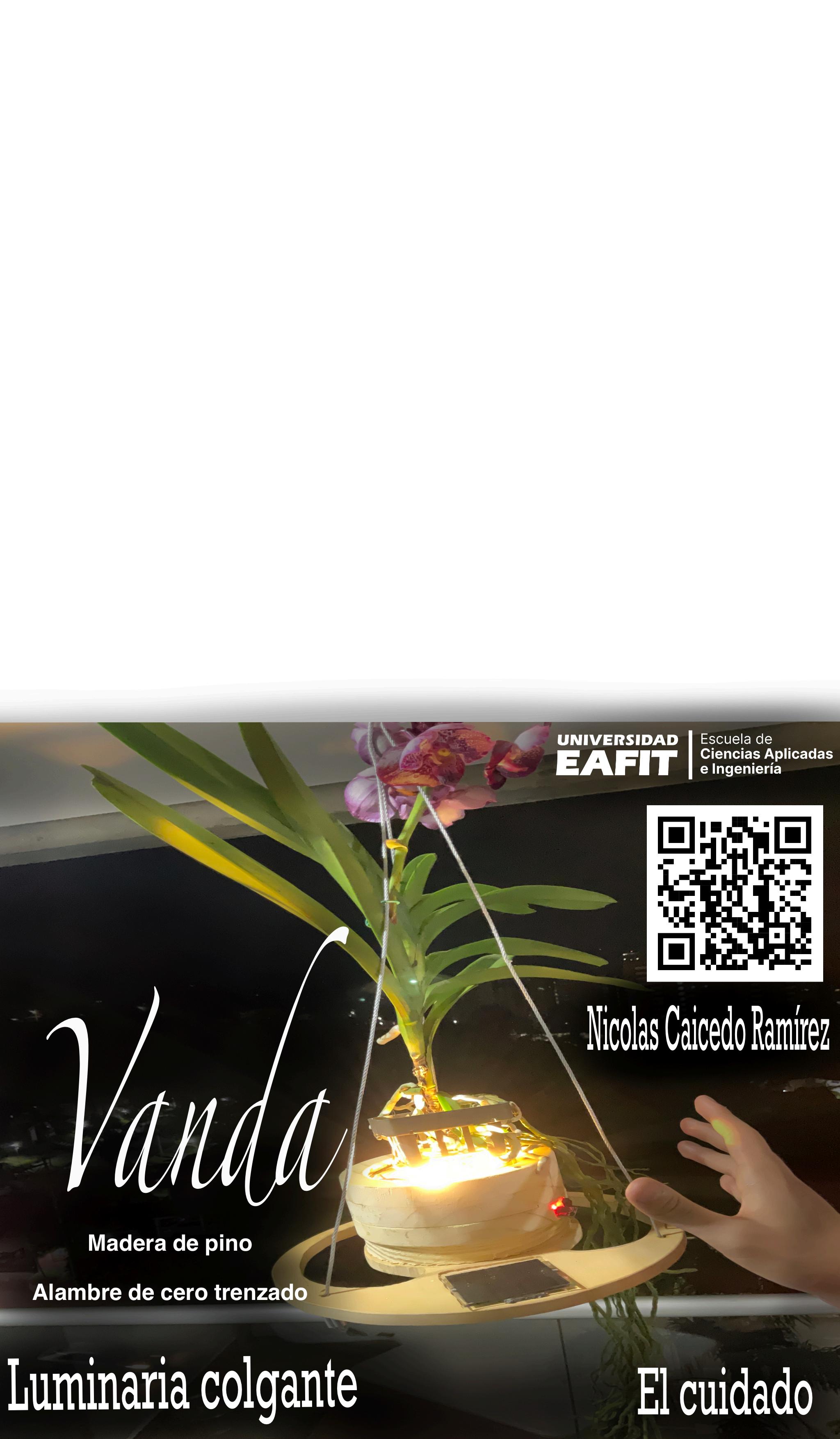 Vanda by Nicolas Caicedo - Issuu