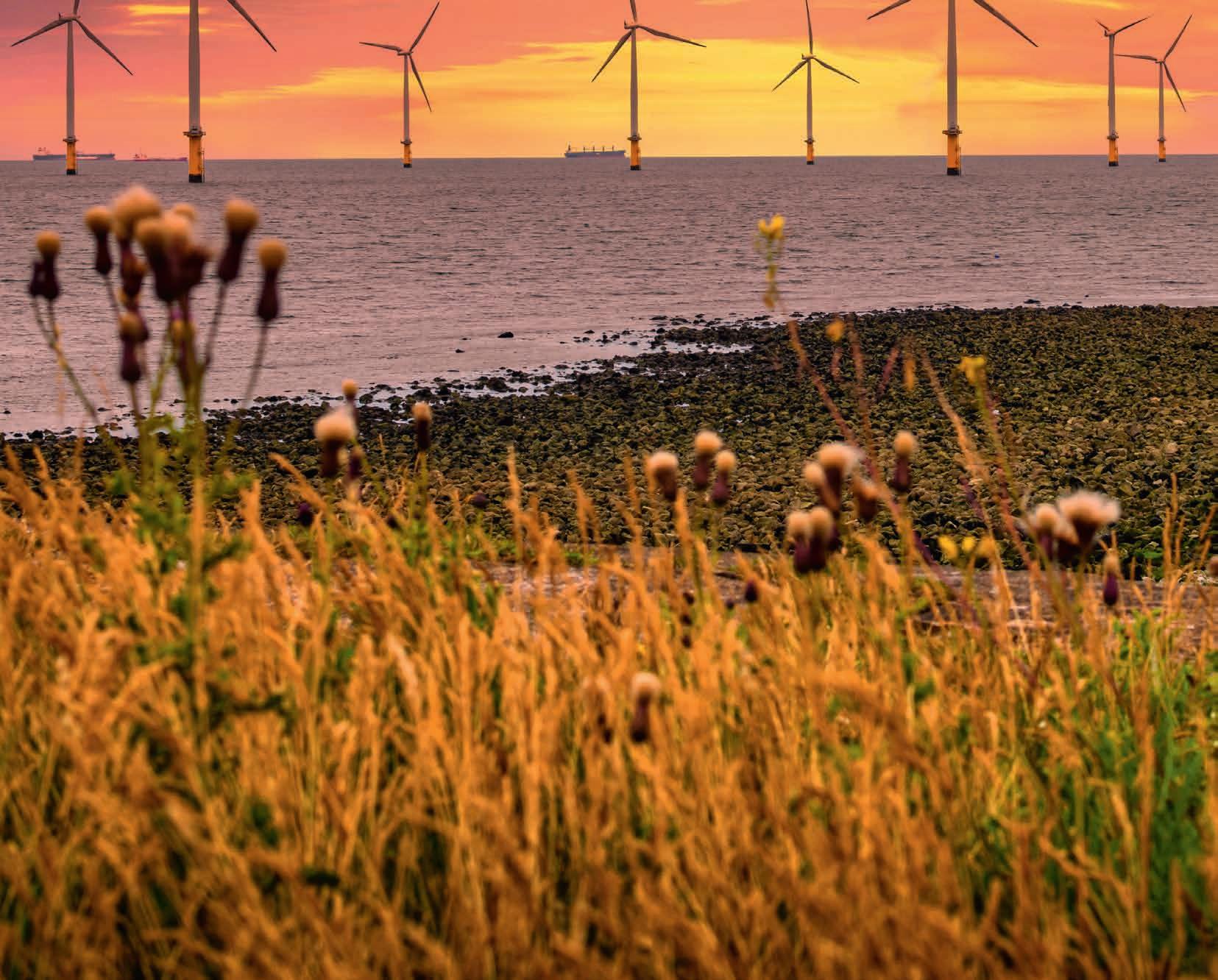 First Break October 2023 - Energy Transition by EAGE - Issuu