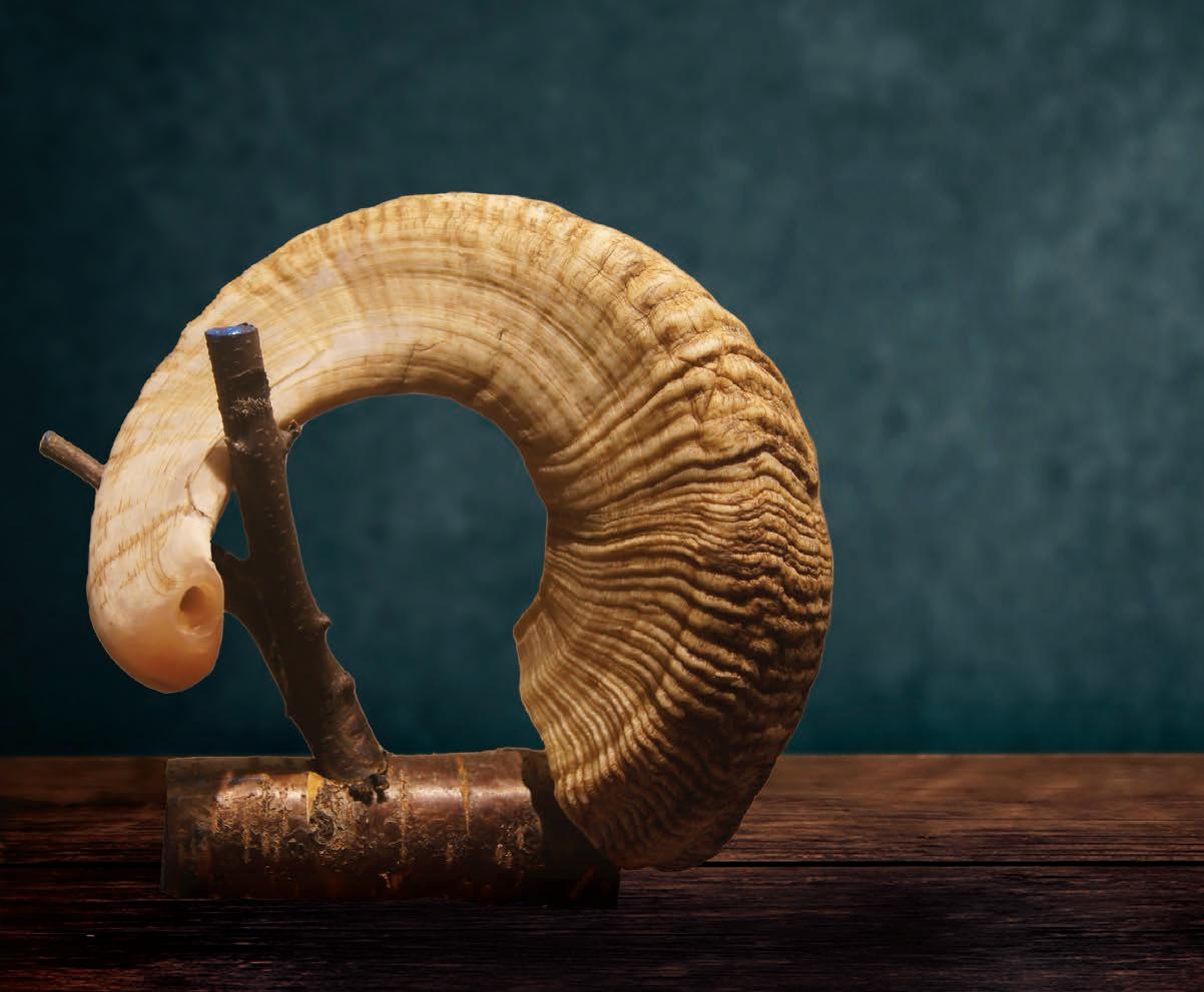 Halachic CORner Magazine 2023/5784 by COR - Kashruth Council of Canada ...