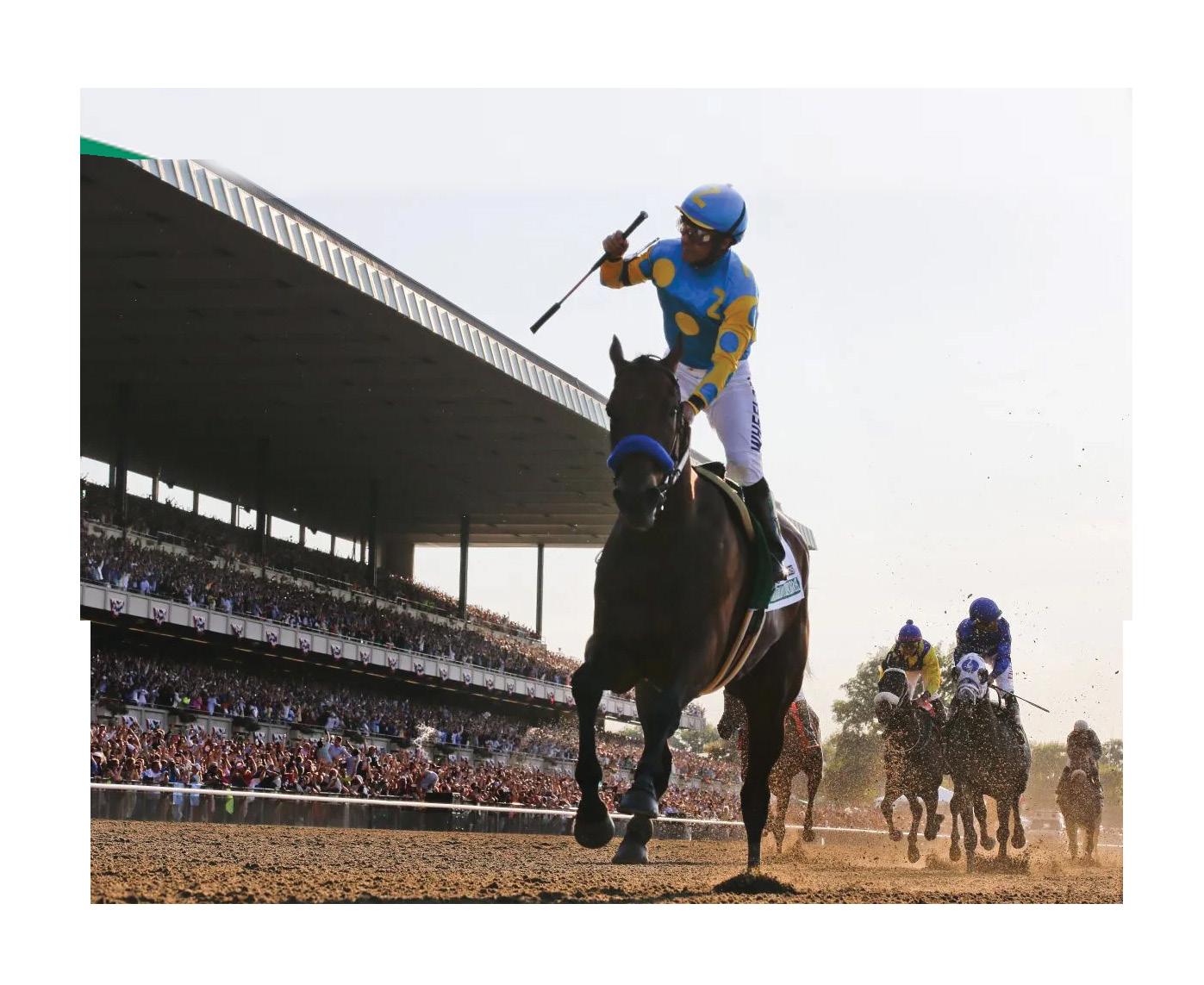 Global Catalogue by randlab - Issuu