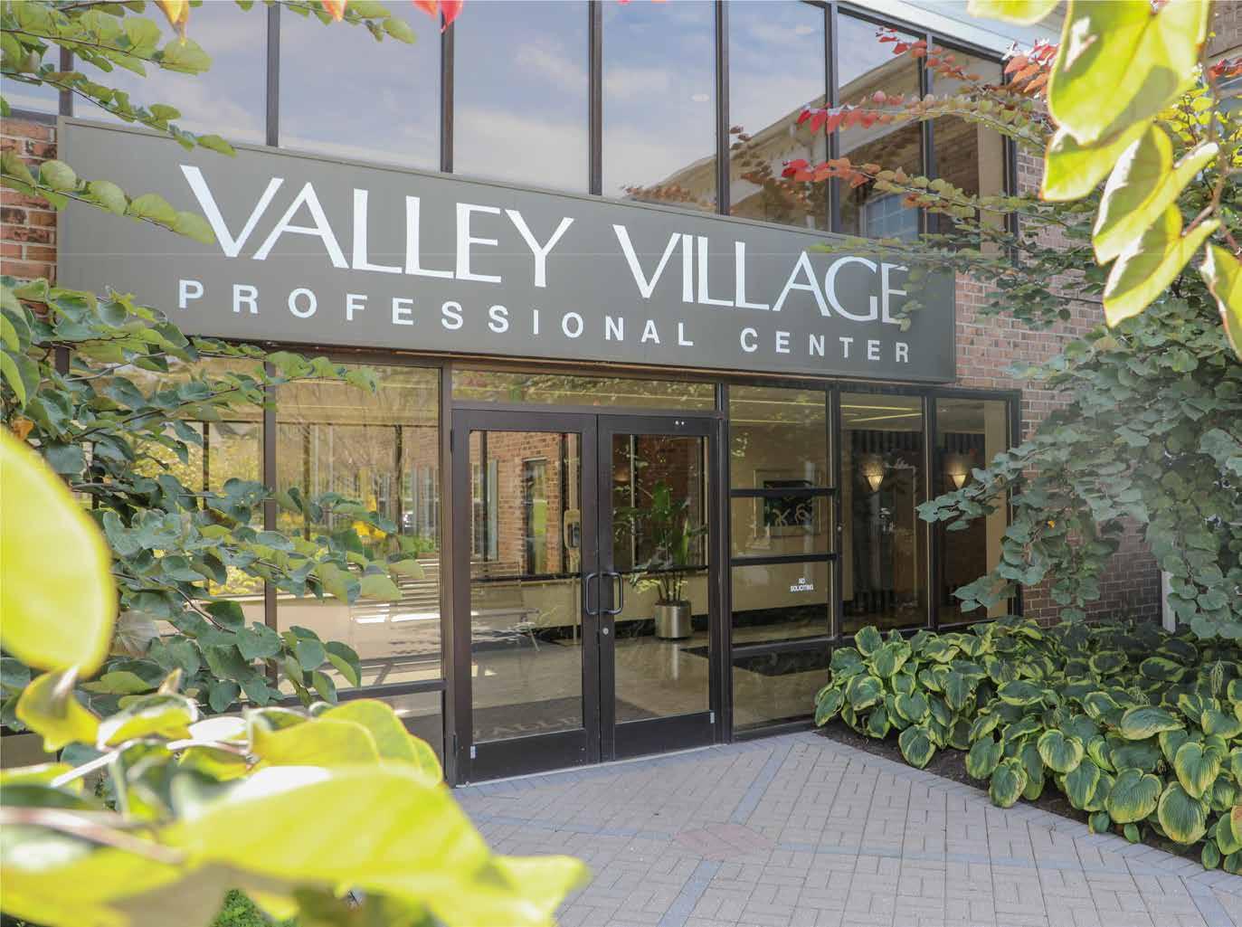 Valley Village Professional Center by David S. Brown Enterprises - Issuu