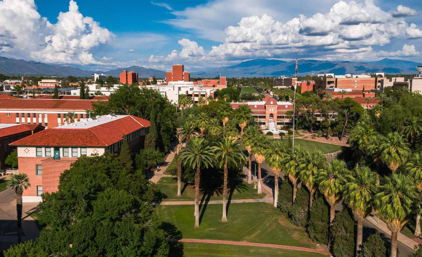 UArizona International Graduate Brochure by Arizona Global - Issuu