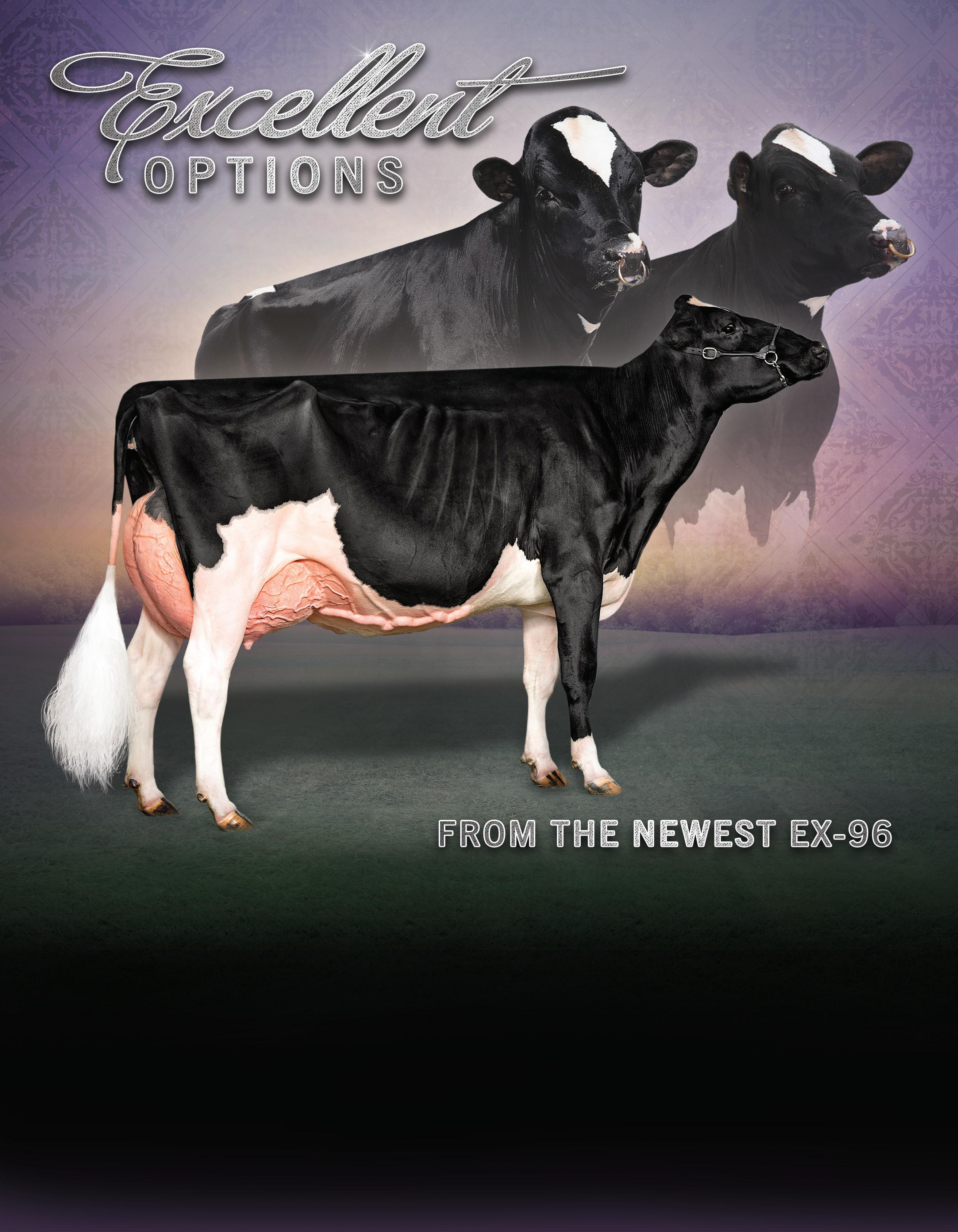 2023 NEMO (NE Missouri) Registered Holstein Production Sale by Dairy ...