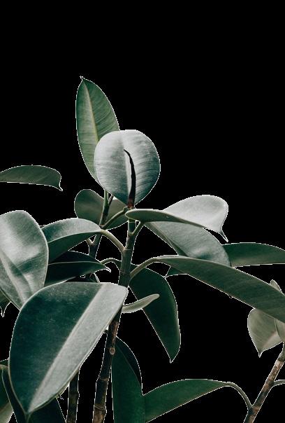 Woodbury University Interior Architecture Portfolio - Chaasanyah Gore ...