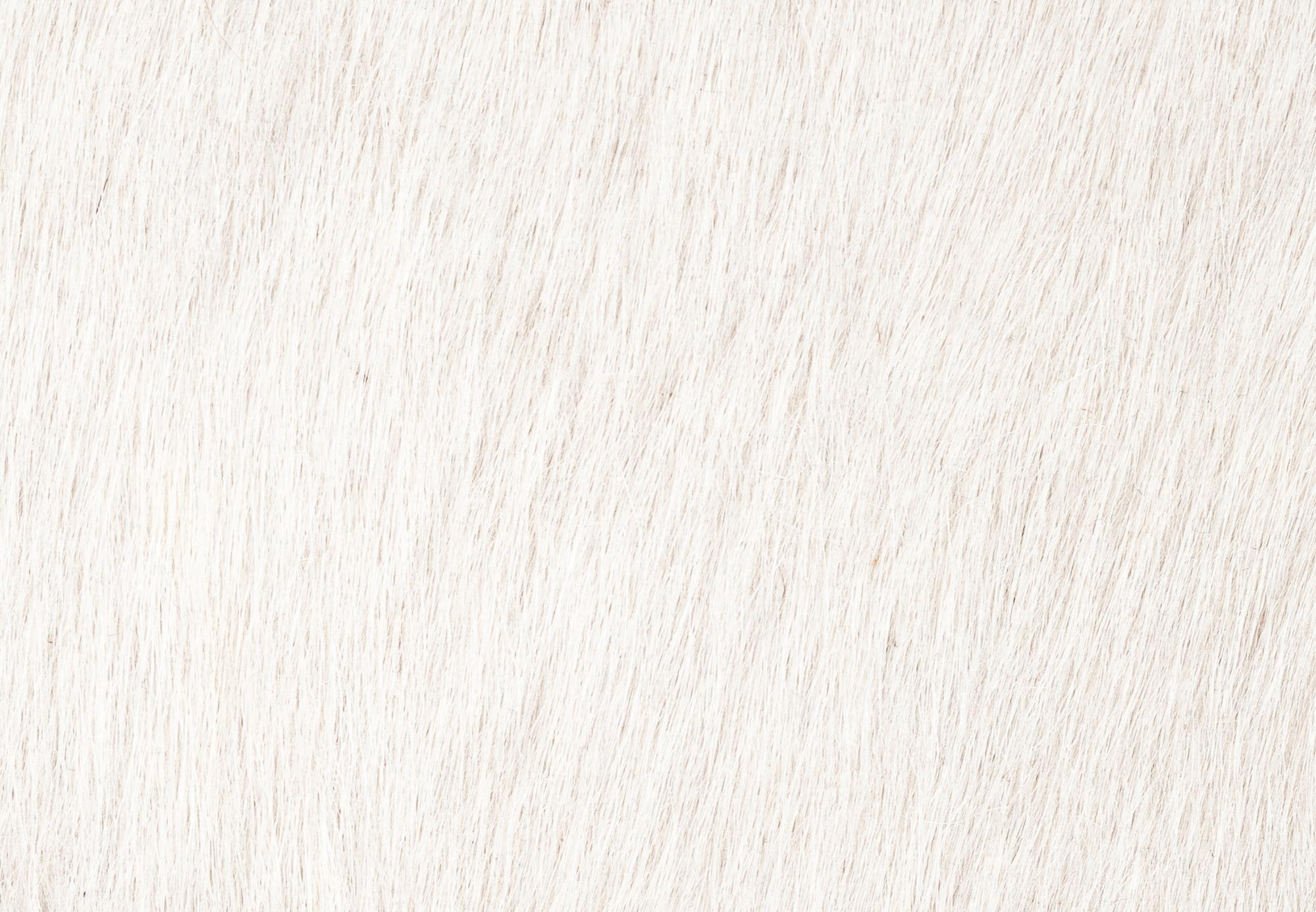 Premium Beef Genetics Fall Sire Directory 2023 by saracfrost00 - Issuu