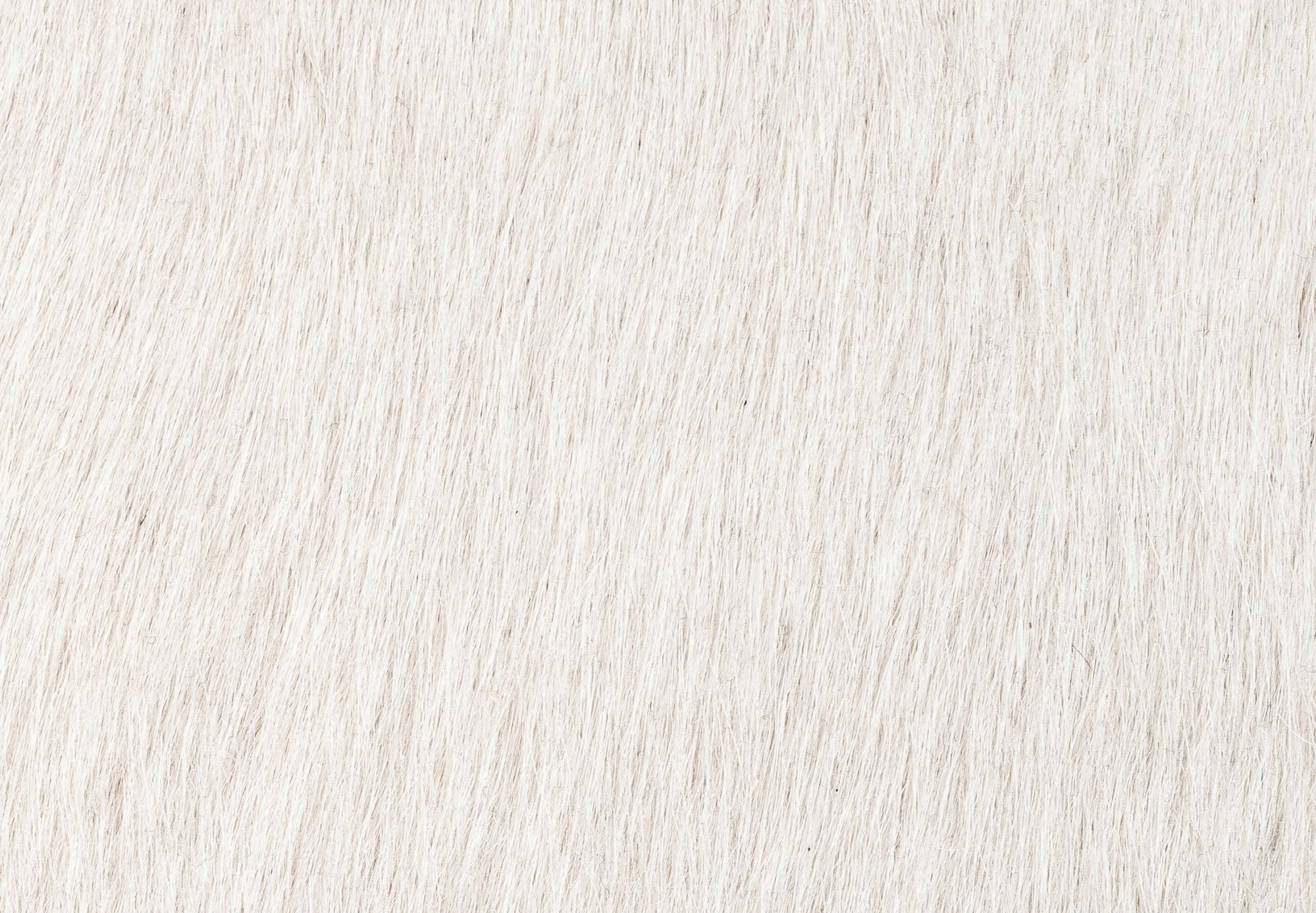 Premium Beef Genetics Fall Sire Directory 2023 by saracfrost00 - Issuu