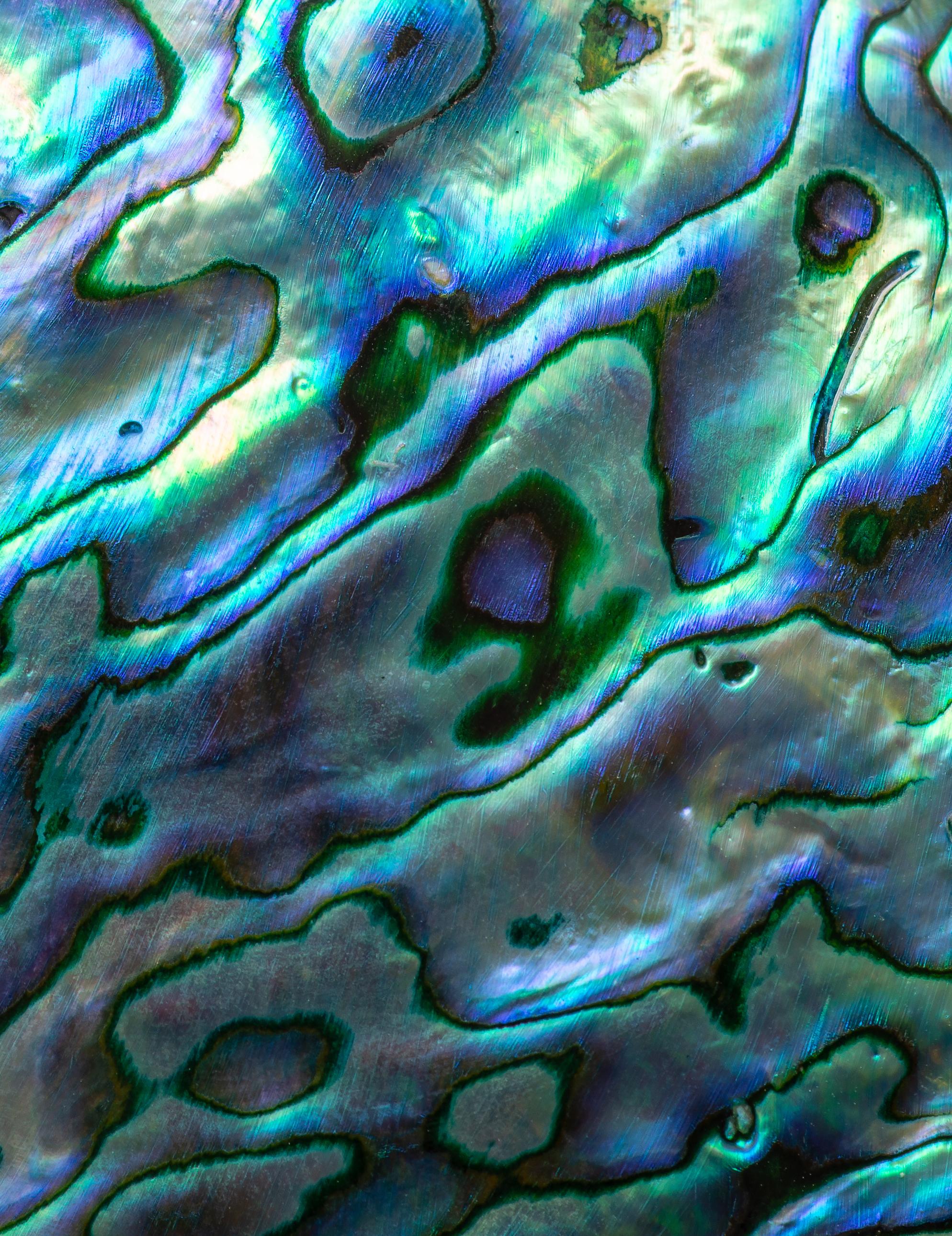 Heard Museum EarthSong, Fall 2023 by Heard Museum - Issuu