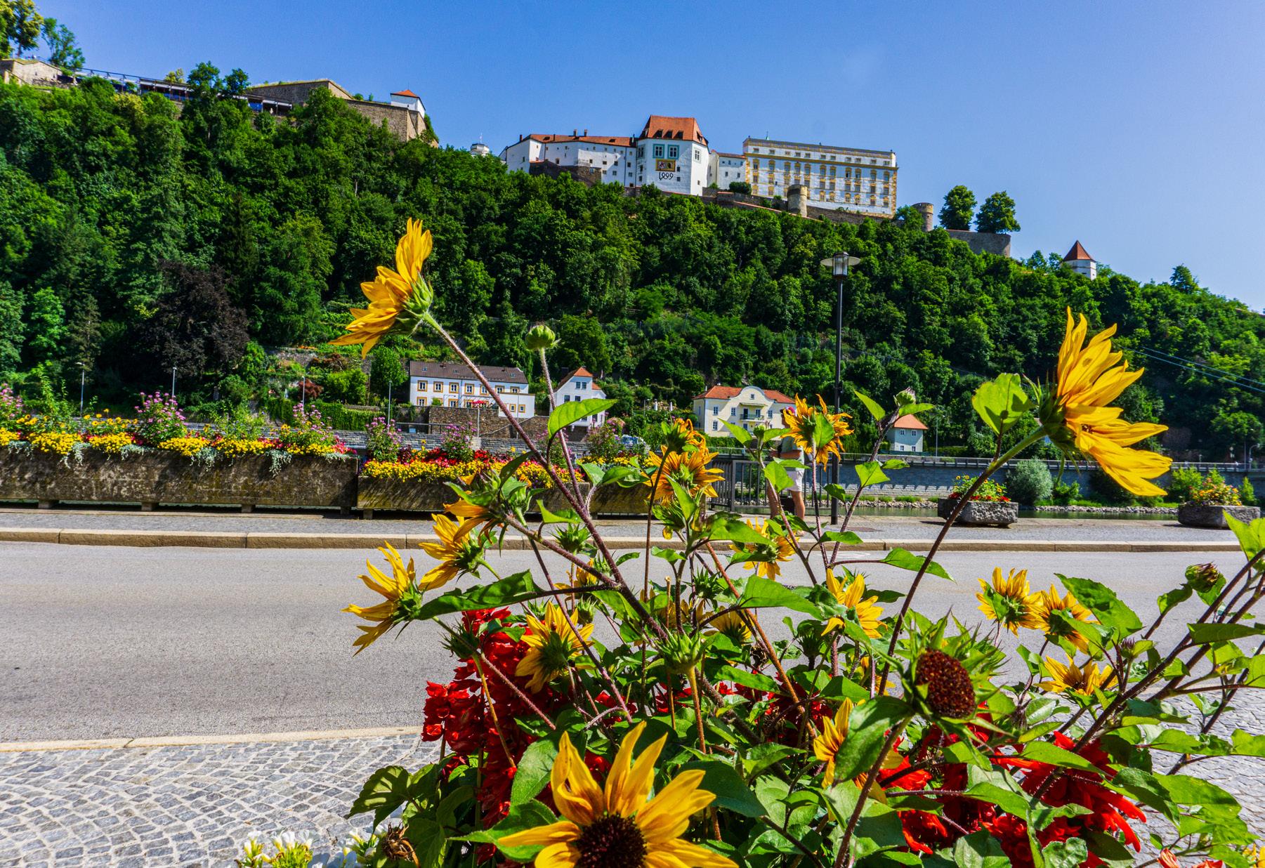 Ascensus XII by The Hummingbird - Issuu