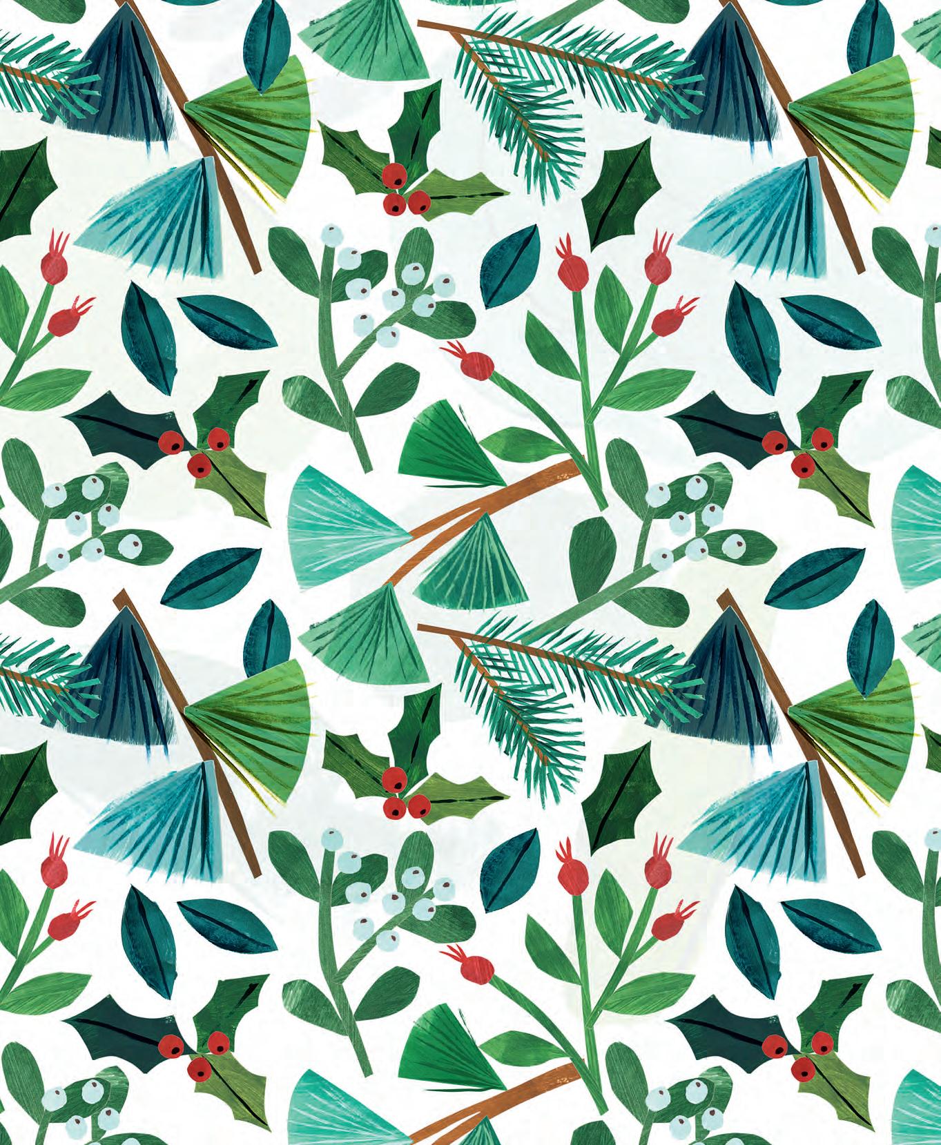 Le plus beau sapin de Noël by Fleurus Editions - Issuu