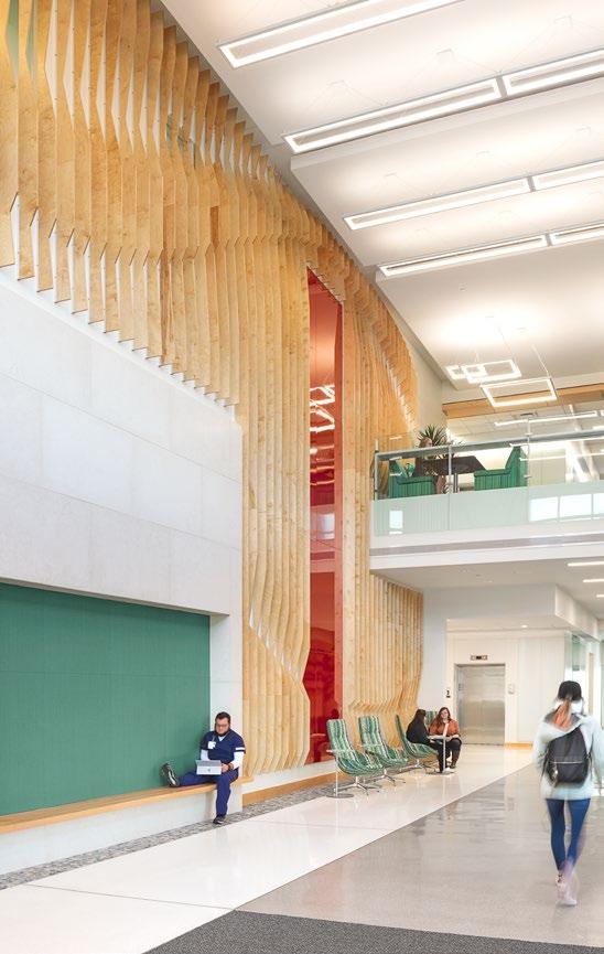 Higher Education: Academics by RATIO - Issuu