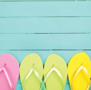 2024 DVC Membership Guide by Divi Resorts - Issuu