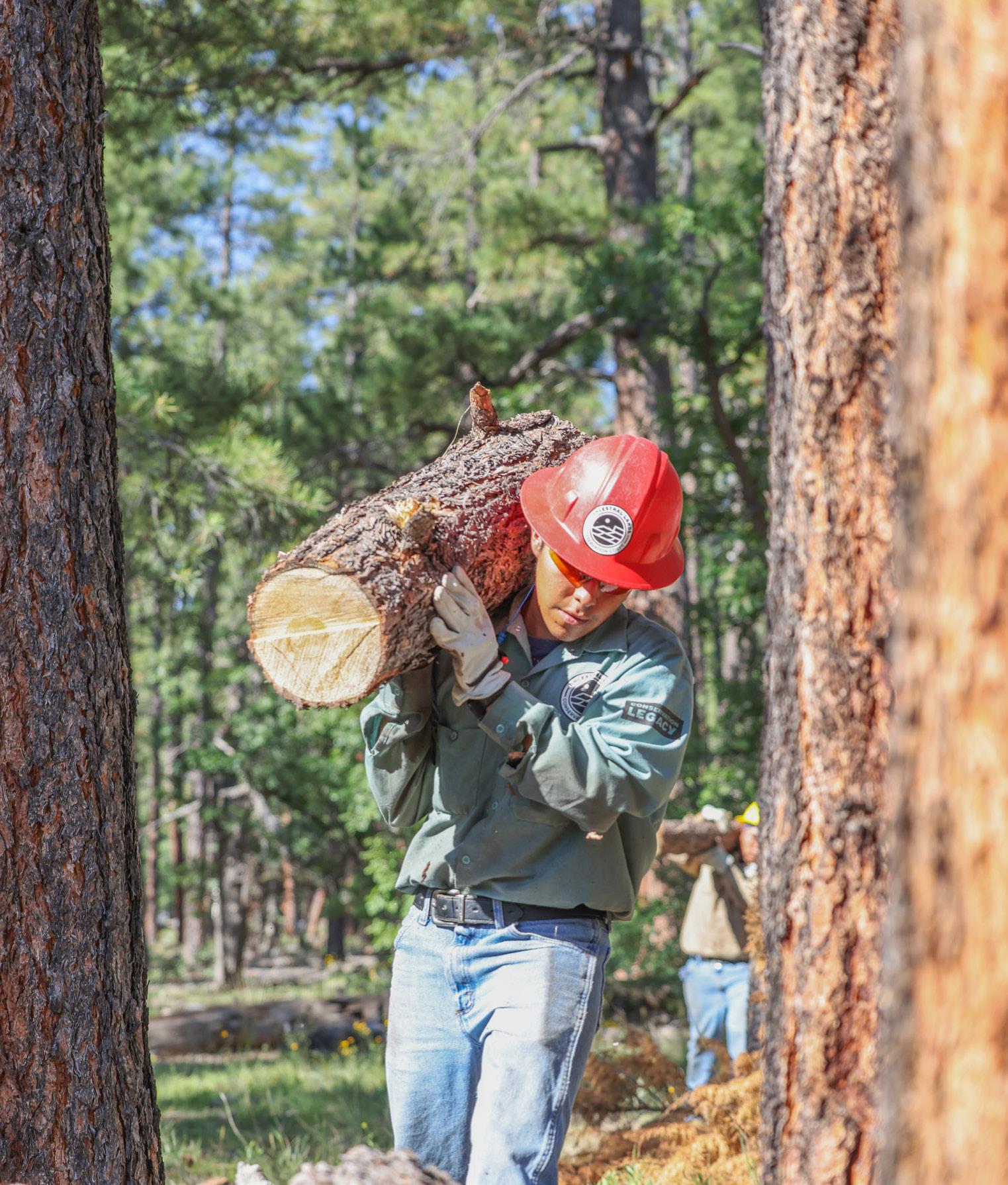 Northern Arizona Forest Fund Annual Report 2023-2024 by National Forest ...