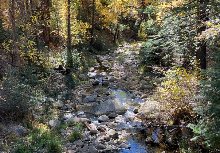 Northern Arizona Forest Fund Annual Report 2023-2024 by National Forest ...