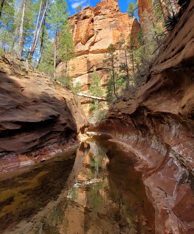 Northern Arizona Forest Fund Annual Report 2023-2024 by National Forest ...