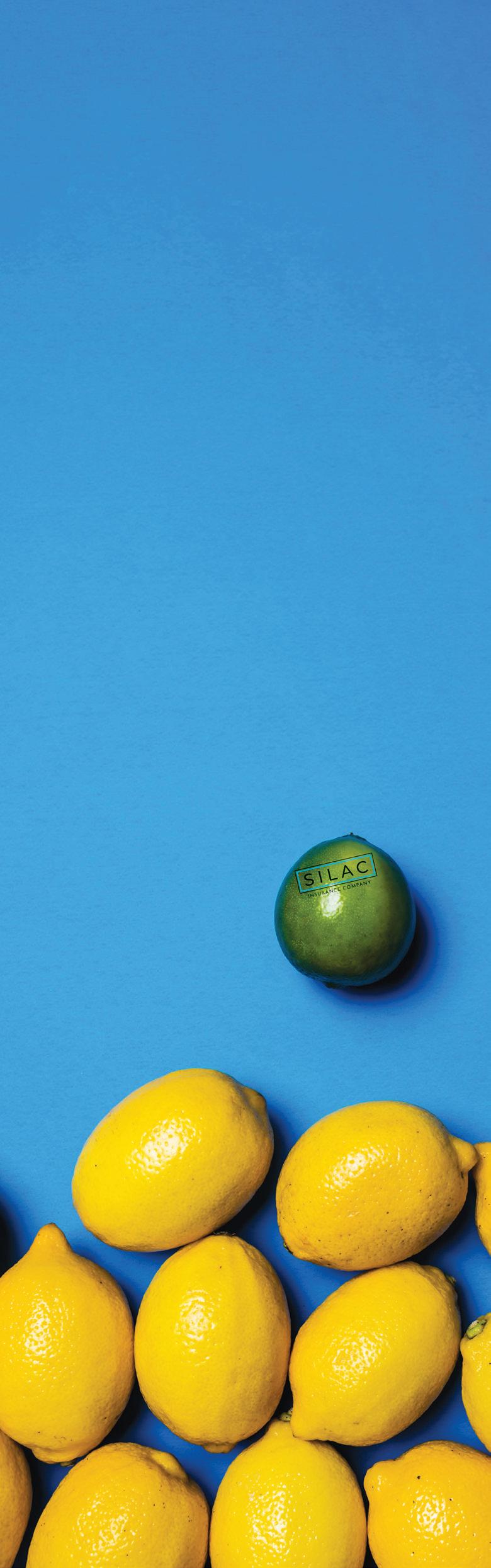 SILAC® Company Brochure by SILAC Insurance Company® - Issuu