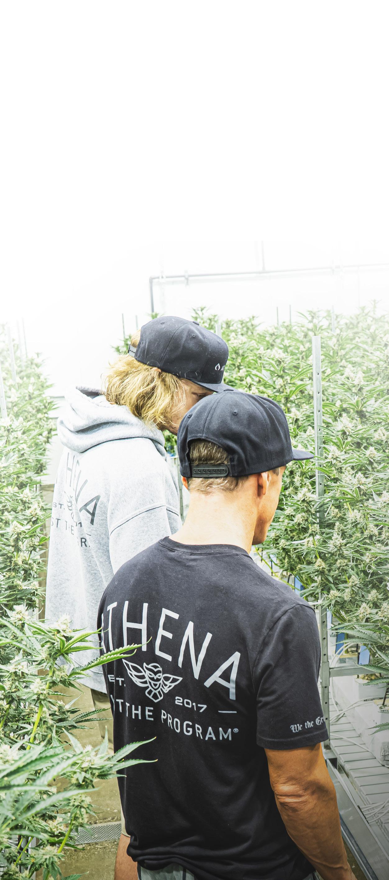 The Athena Handbook (Imperial) by Athena Ag - Issuu