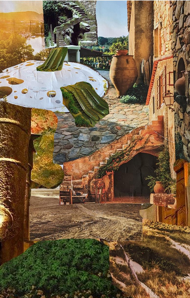 Megan Conte-Portfolio-2024 by Megan Conte - Issuu