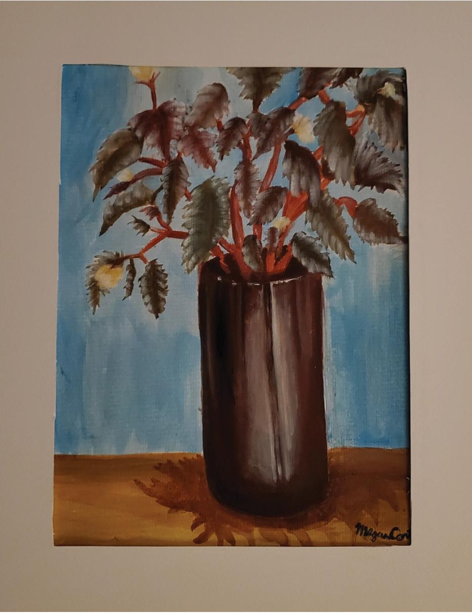 Megan Conte-Portfolio-2024 by Megan Conte - Issuu