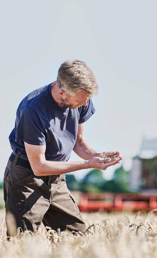 Valsemøllen for fagfolk - foodservice sortiment by valsemollen - Issuu