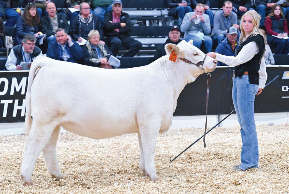 Elder Charolais 14th Annual Bull Sale 2024 by Charolais Banner - Issuu