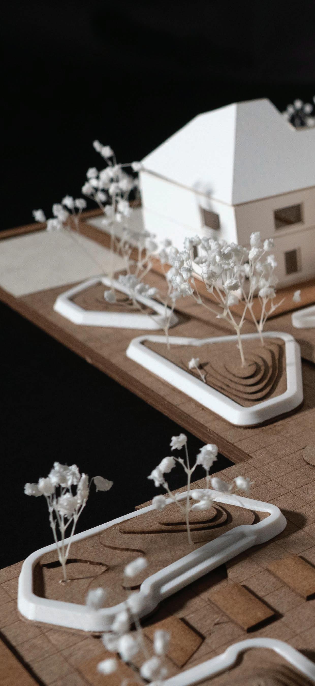 Professional Portfolio - Lillian Giraud, UTSOA by Lillian Giraud - Issuu