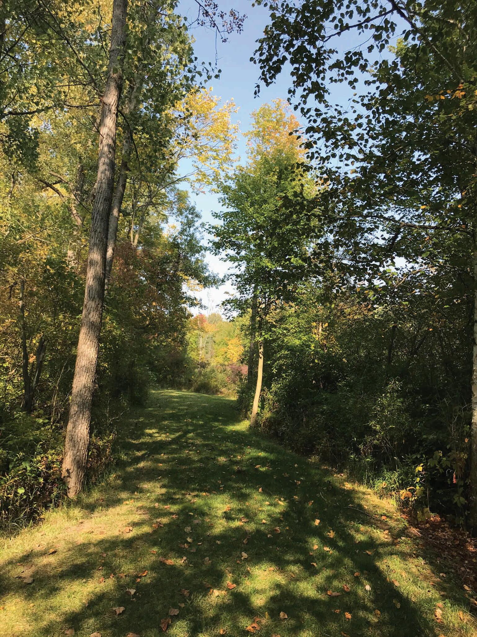 Springfield Township Parks & Recreation Spring & Summer 2024 Guide by ...