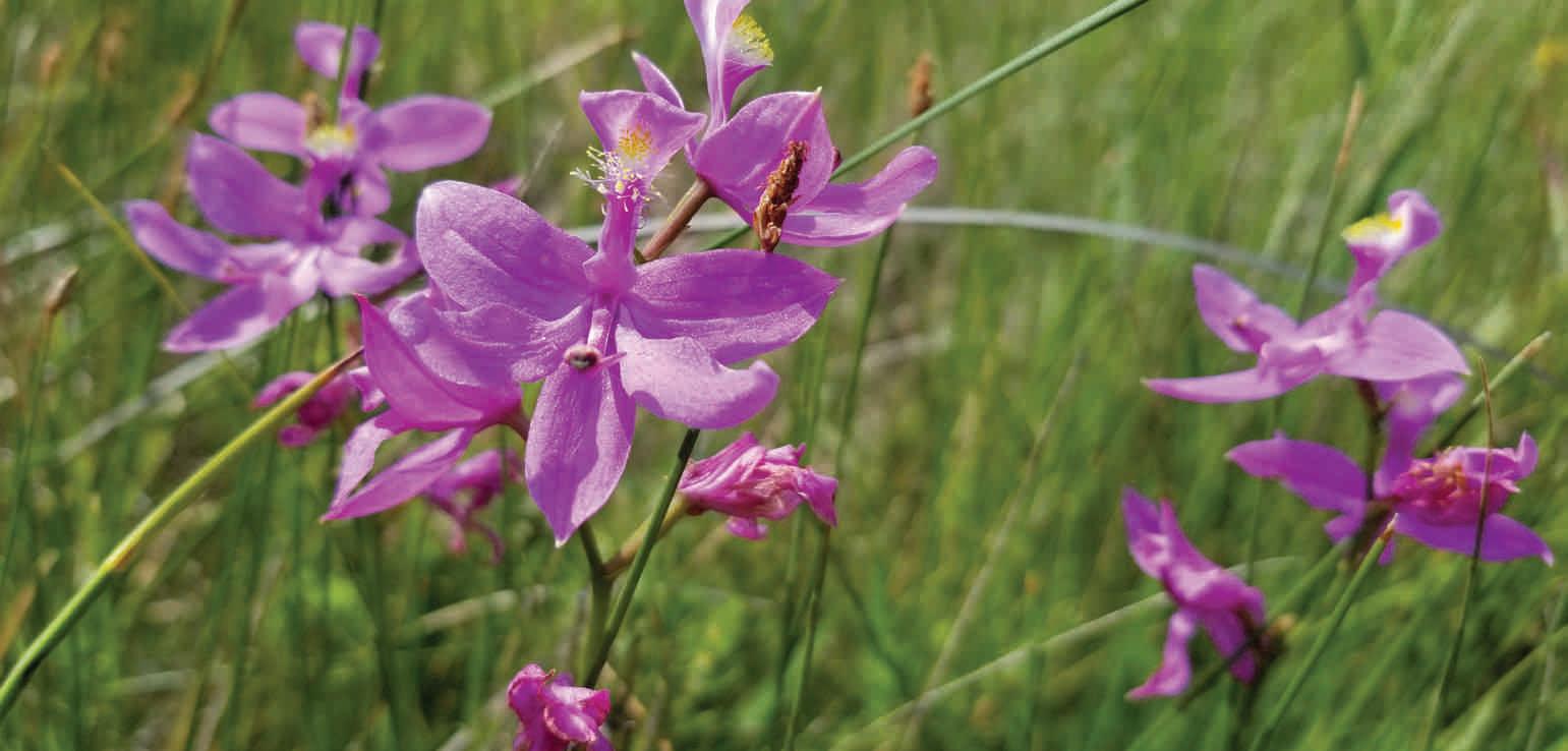 Springfield Township Parks & Recreation Spring & Summer 2024 Guide by ...