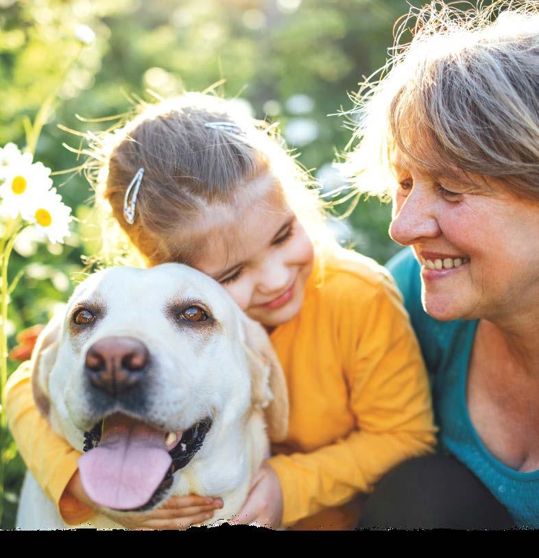 Pets in Peace Referral Brochure 2024 by InvoCare PetCare - Issuu