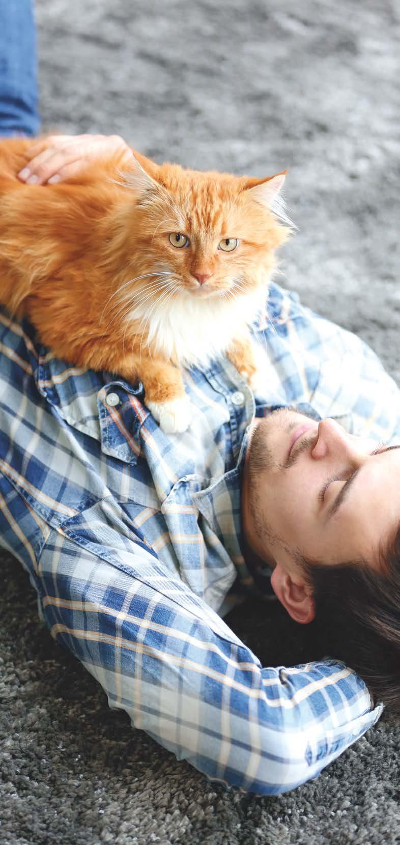 Edenhills Referral Brochure 2024 by InvoCare PetCare - Issuu