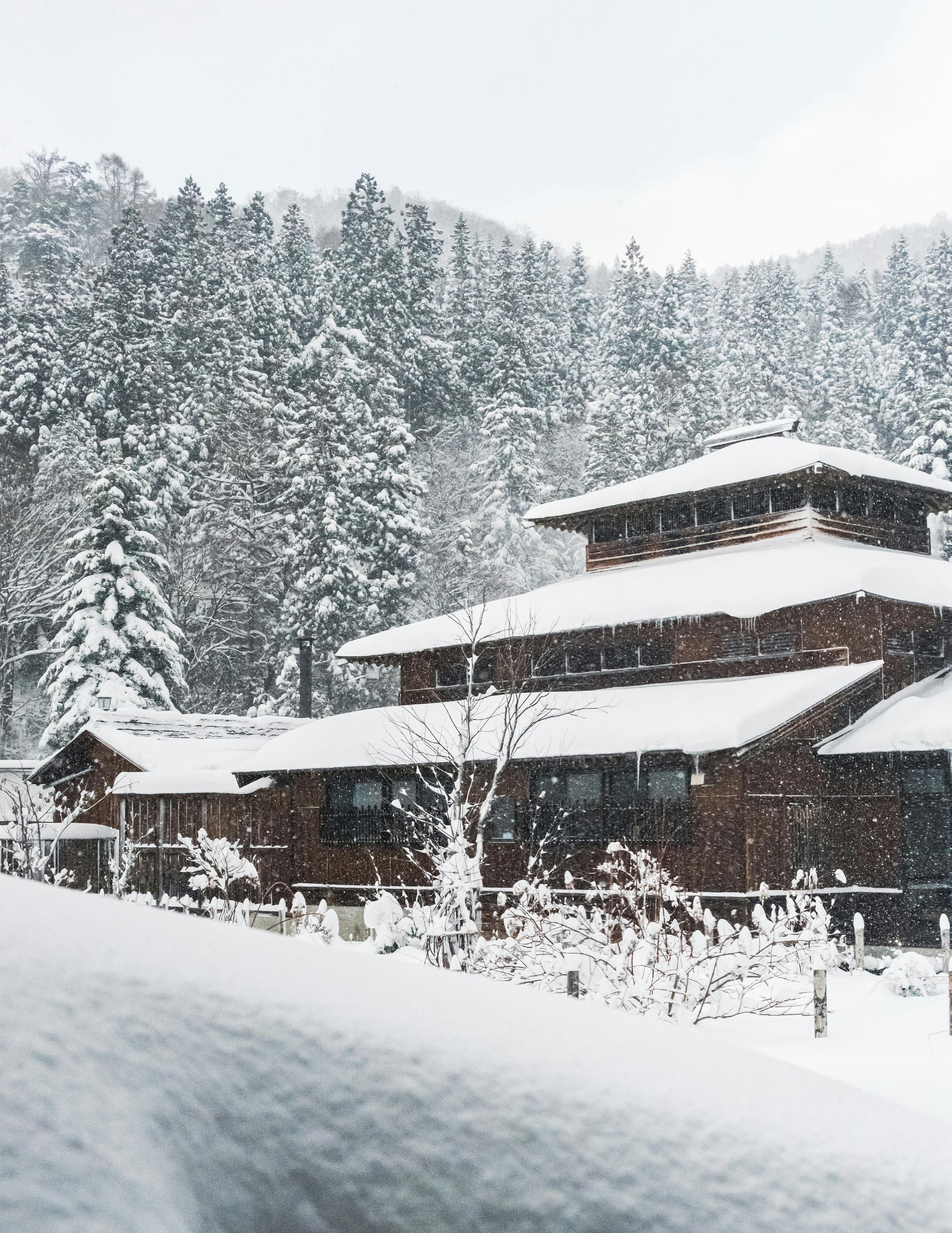 Winter Olympics by Imari Moore - Issuu