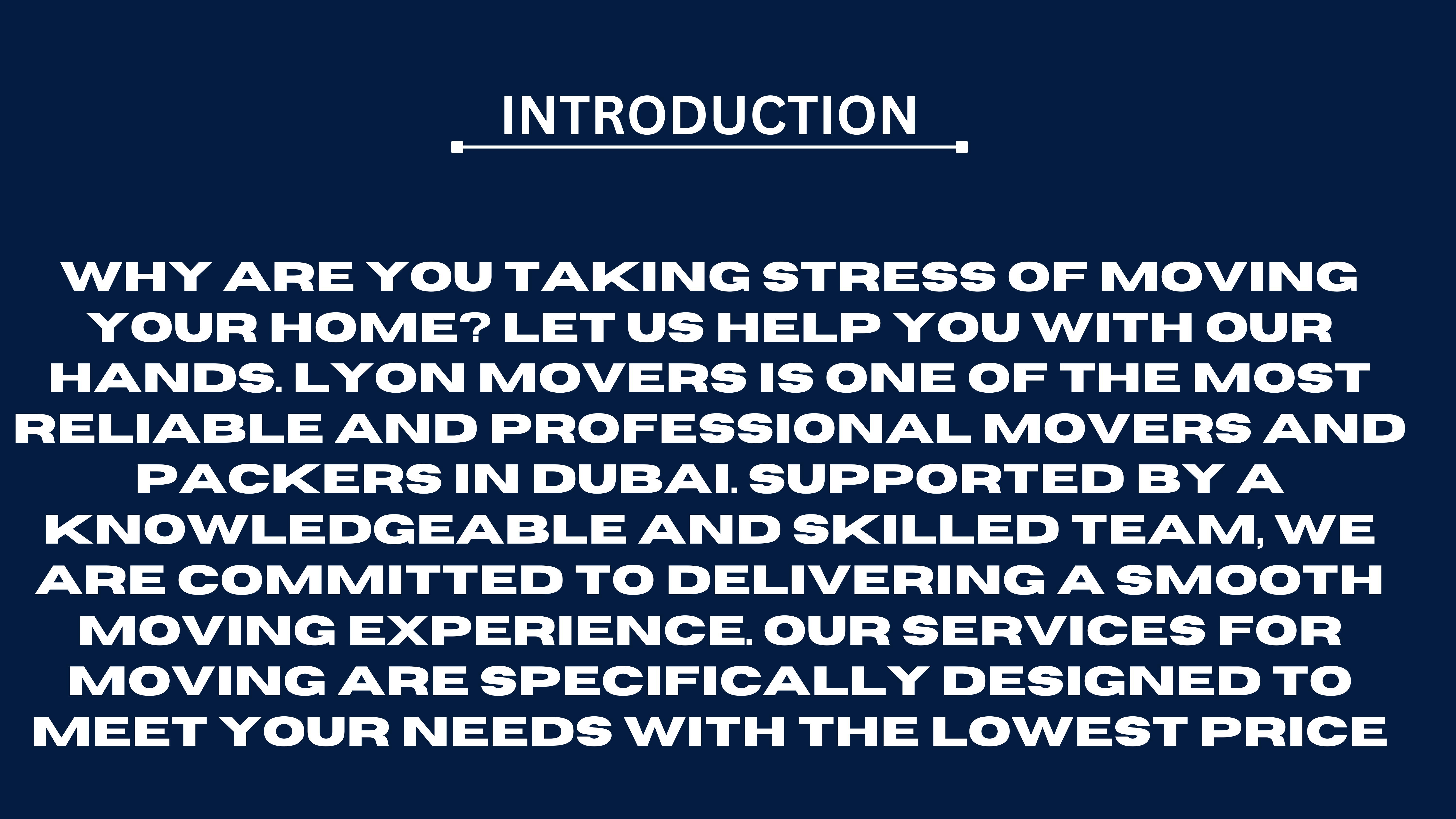 Lyon smart movers by shammasdotin - Issuu