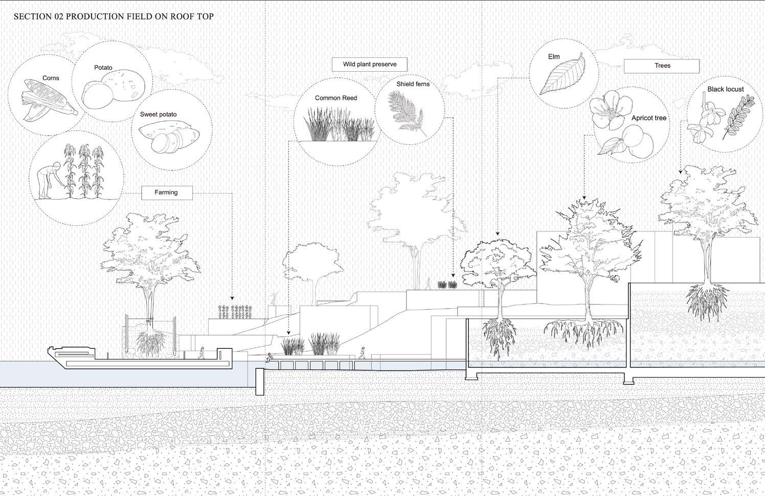 Guanxin Luo portfolio by Amy Luo - Issuu