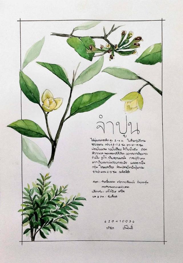 portfolio_warachaya_panpo by 비Bee: - Issuu