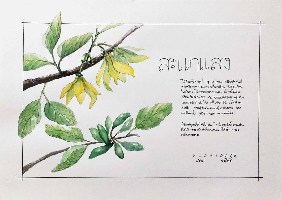 portfolio_warachaya_panpo by 비Bee: - Issuu