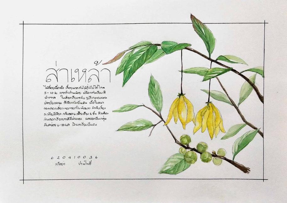 portfolio_warachaya_panpo by 비Bee: - Issuu