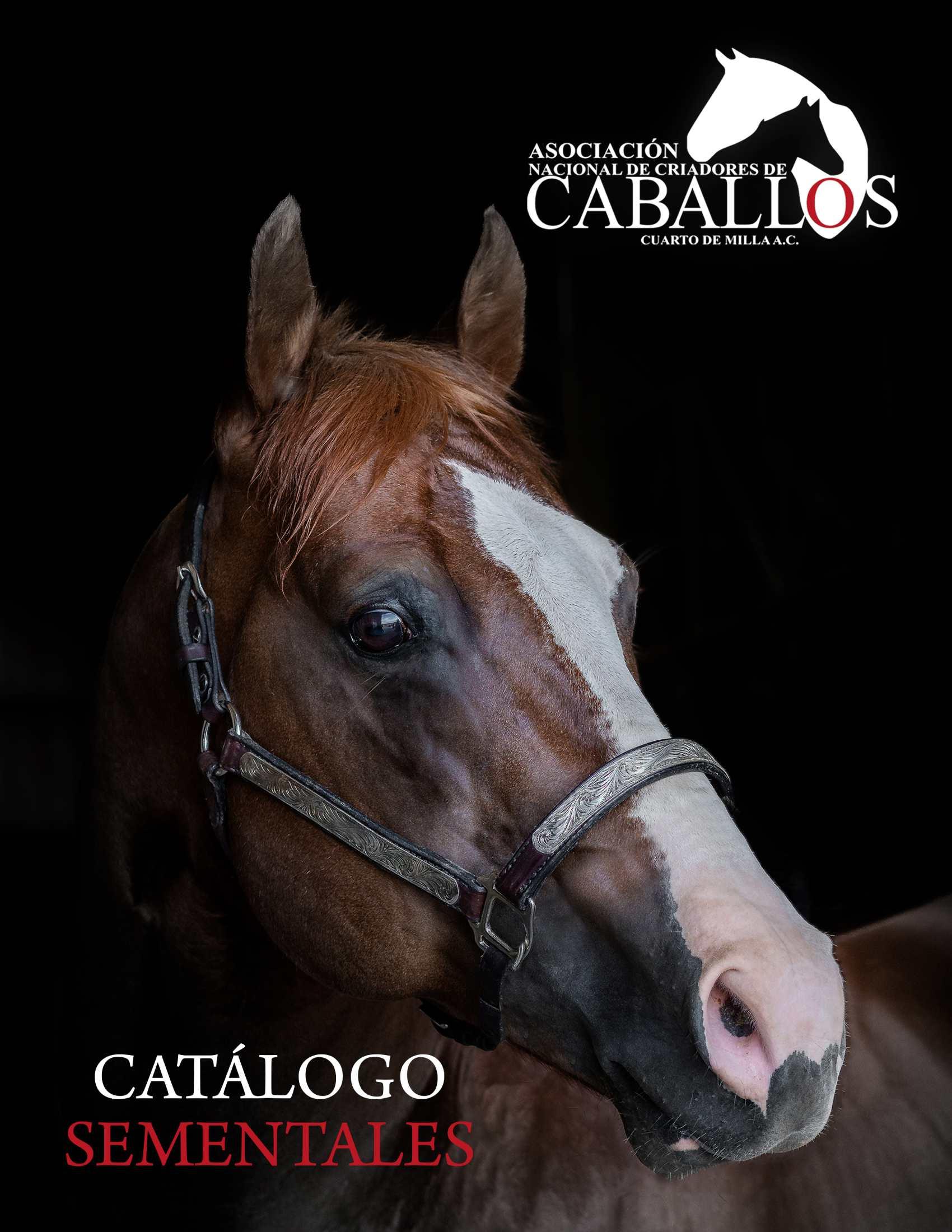 Sementales ANCCCM by publicidadaureus - Issuu