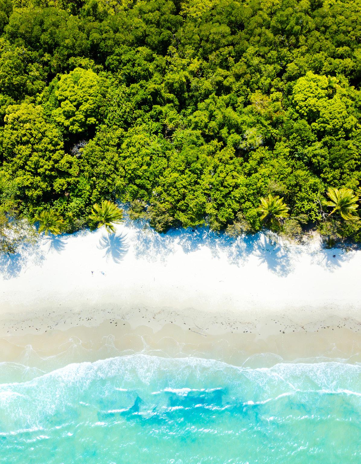 2024 TNQ Priorities: Brisbane Delegation by Advance Cairns - Issuu