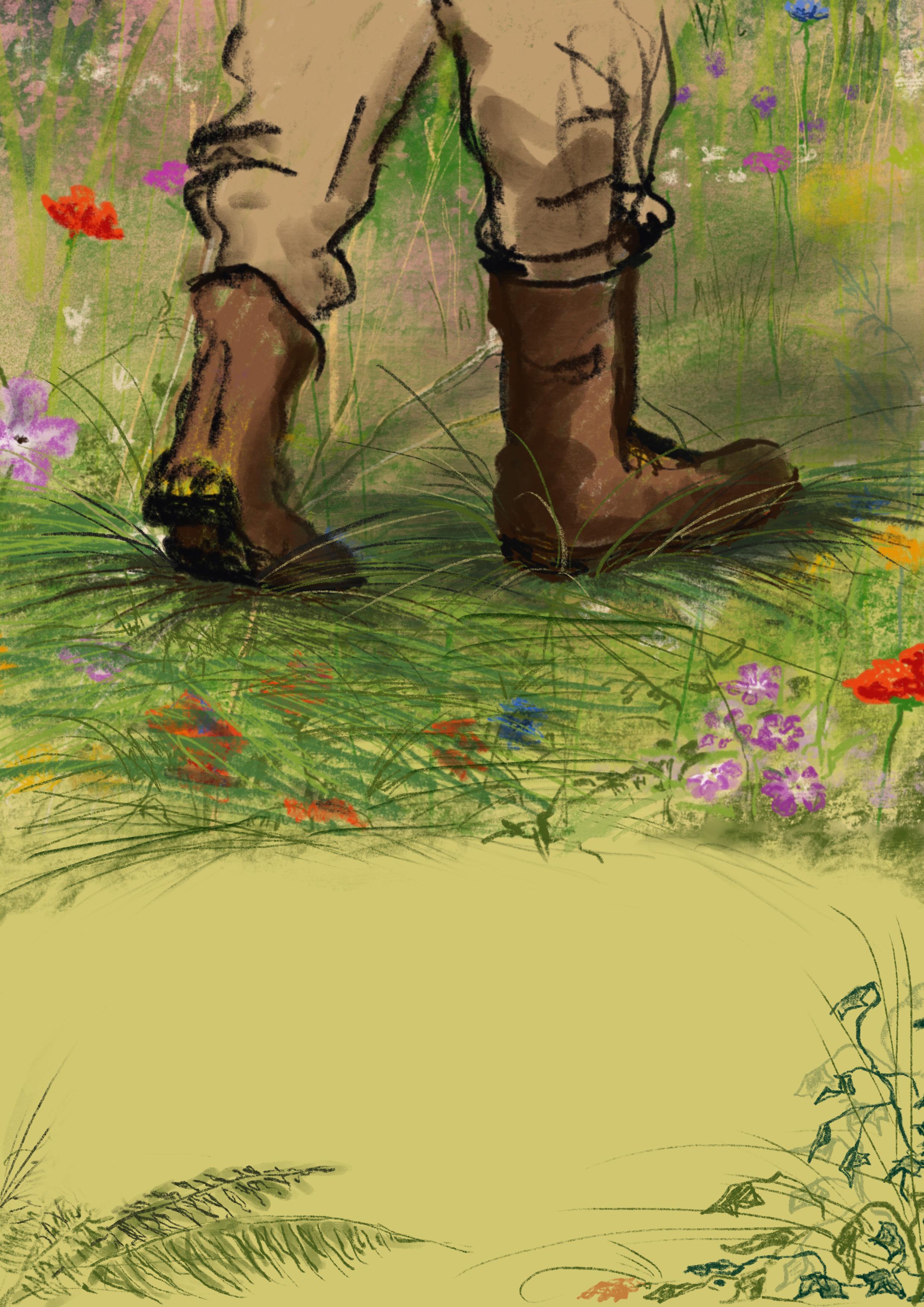 Emerging: The Story of a Garden by paula.larkin - Issuu