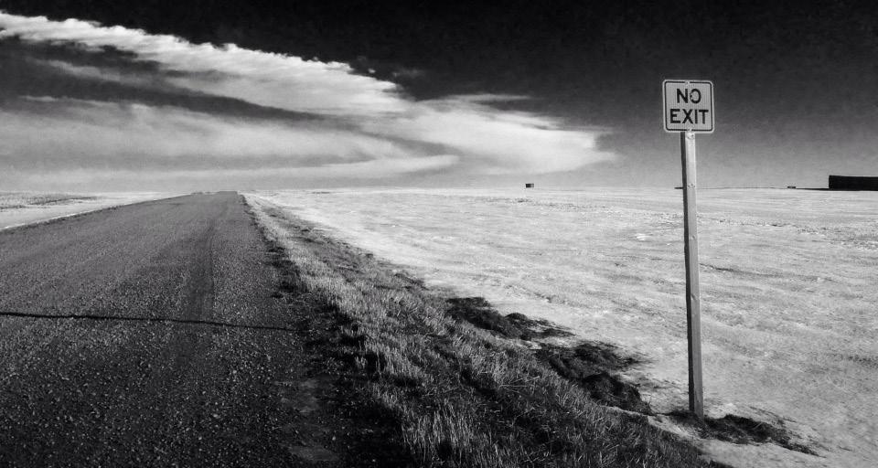 RODGERS RED ANGUS 2024 BULL SALE CATALOGUE by Logan Rummel - Issuu