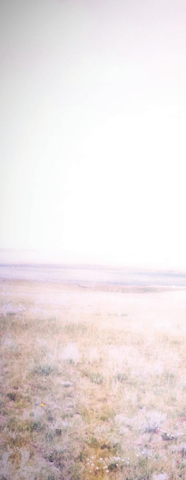 RODGERS RED ANGUS 2024 BULL SALE CATALOGUE by Logan Rummel - Issuu