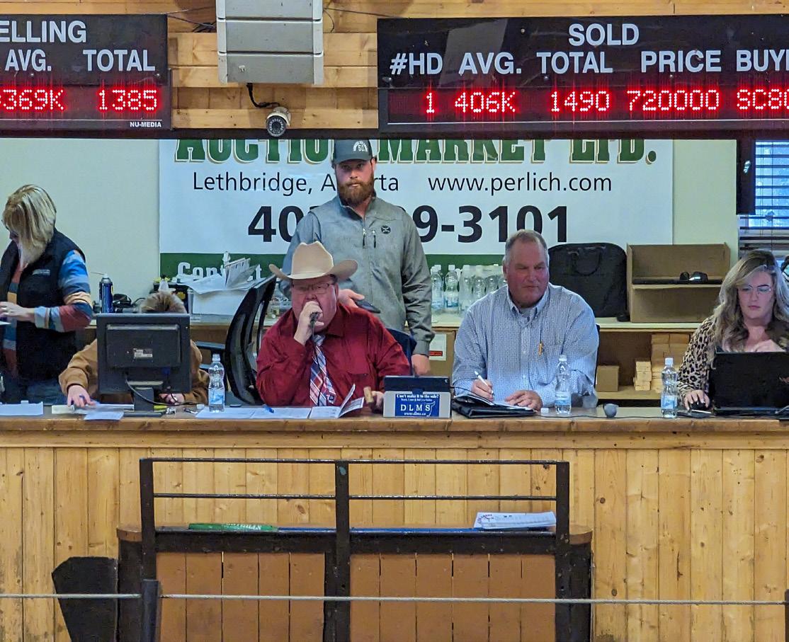 RODGERS RED ANGUS 2024 BULL SALE CATALOGUE by Logan Rummel - Issuu