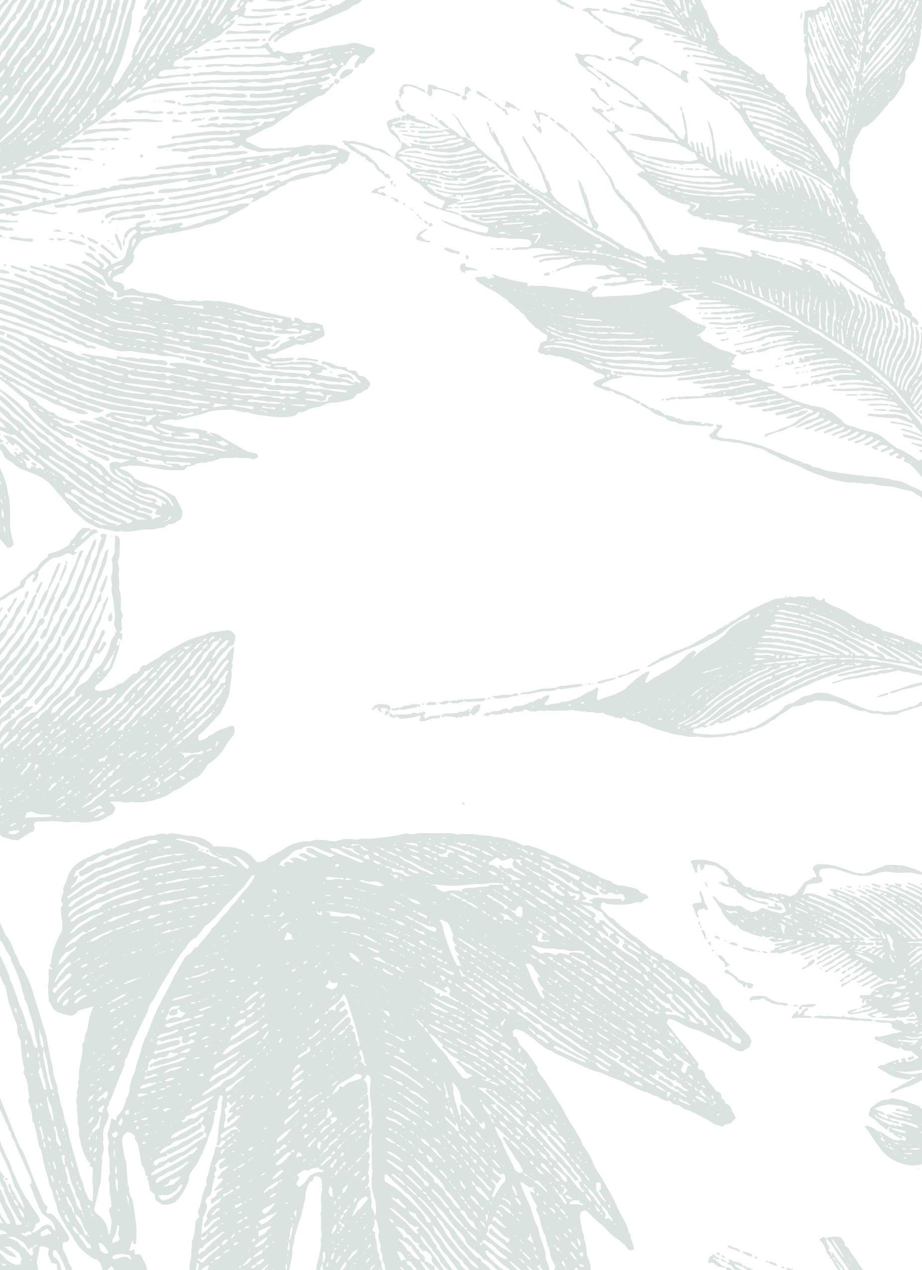 Micro at Oxbow by oxbow_estate - Issuu