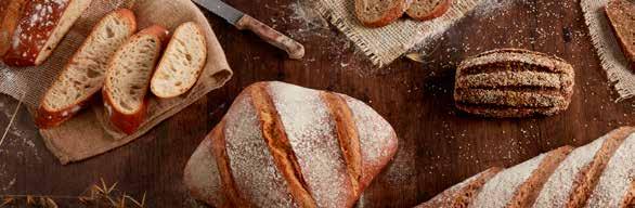 Carta de panes | Granier by Grup Merca Center - Issuu